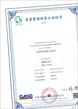 ISO Certificate | Lee Spring
